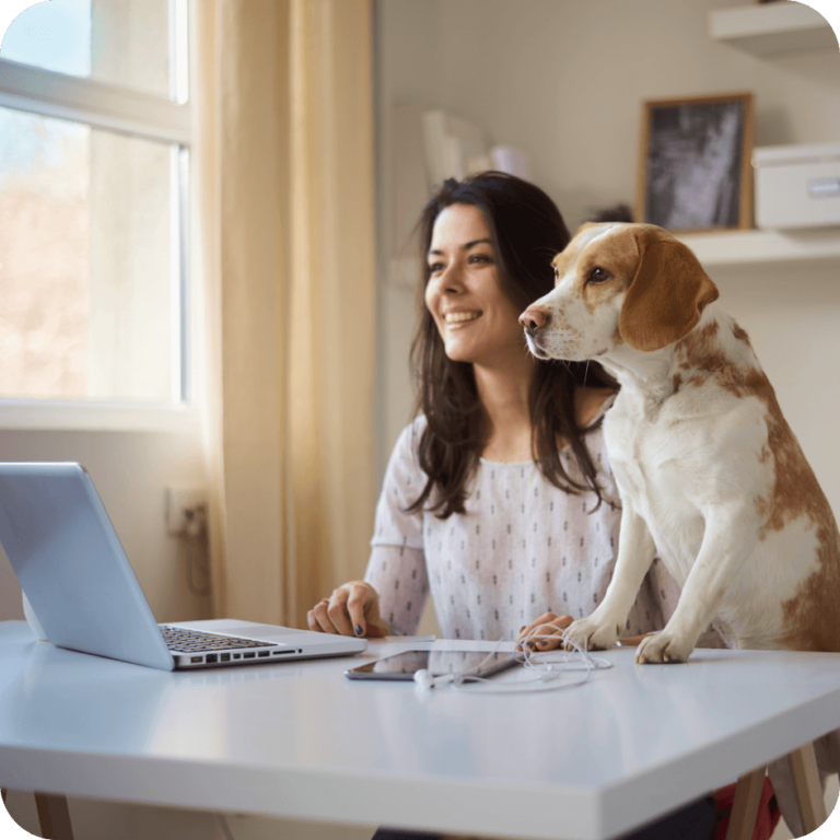 Homepage - Beagle Street Adviser